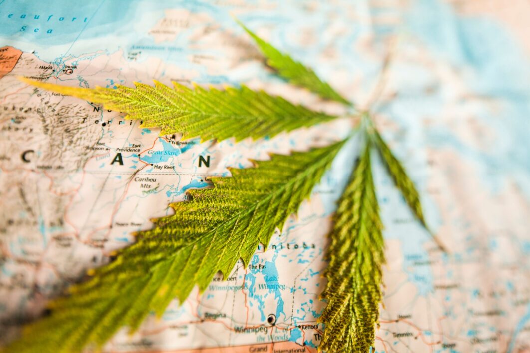 Can You Travel With Medical Cannabis? 8 Things To Know - Skill Speed Power